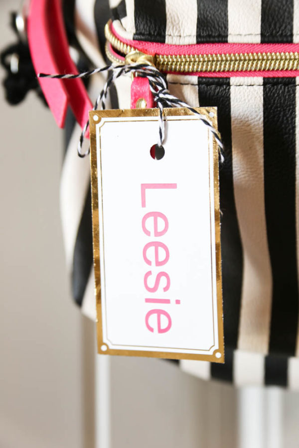 Easy DIY Bag Tags: Back to School