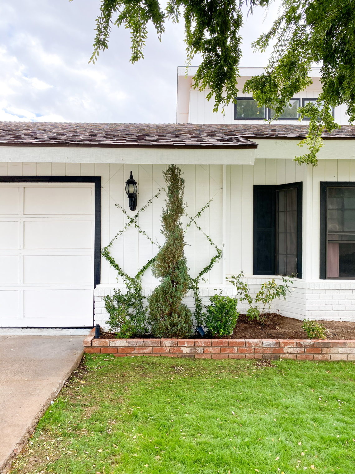 DIY Wire Trellis (Step-By-Step Instructions!)